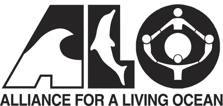 Alo Paket Logo
